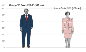 What Is 511 in Inches? Understanding Height Conversion and Its.